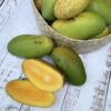 Carabao (Philippine Mango) - Bin3aiah Plants