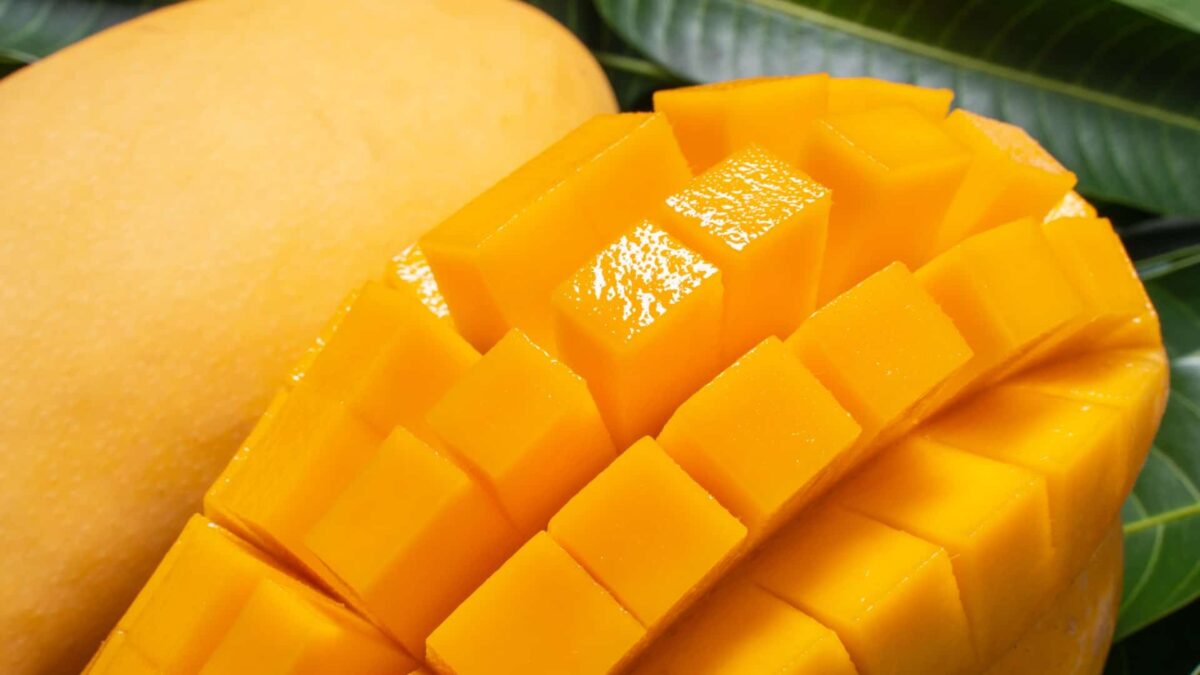 Carabao (Philippine Mango) - Bin3aiah Plants