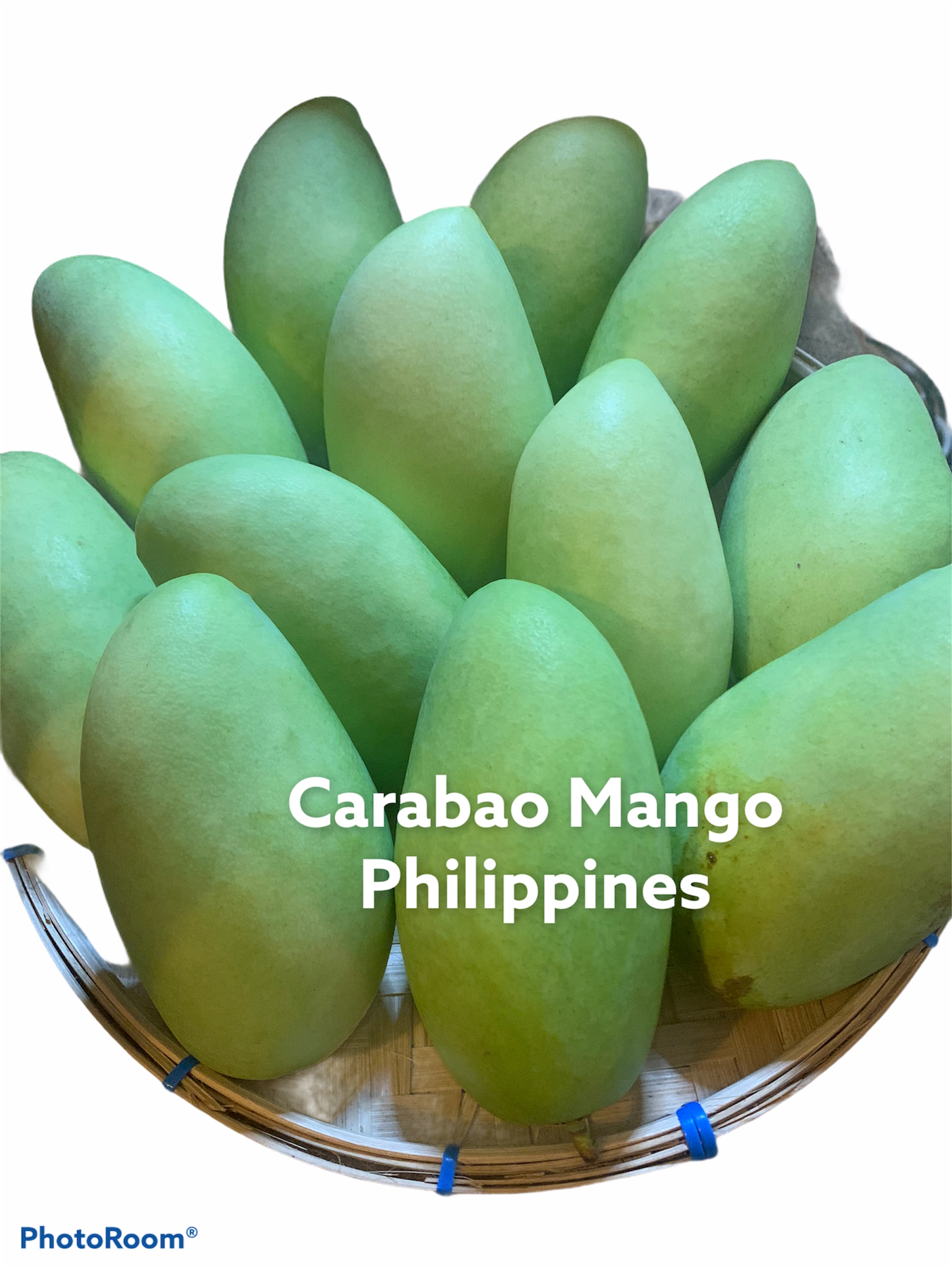 Carabao (Philippine Mango) - Bin3aiah Plants